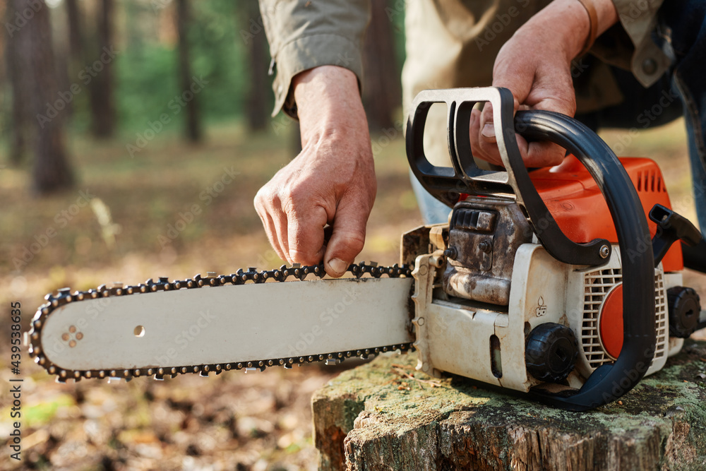 Faceless logger preparing chainsaw for work, cheking saw for faults ...