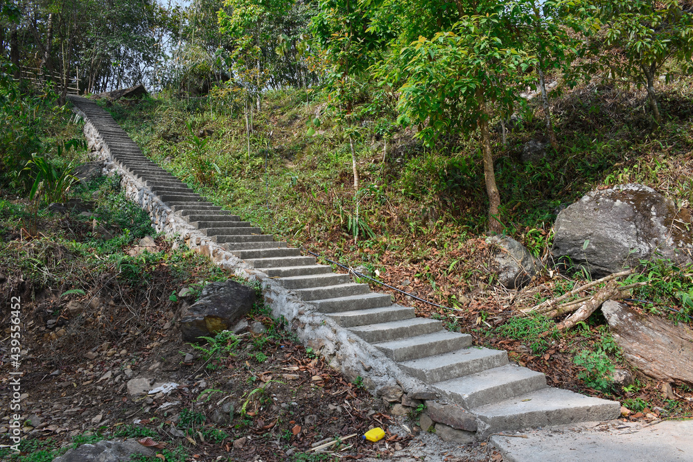 Stairway in himalayas with green trees, Todey, Kalimpong. Stock Photo ...