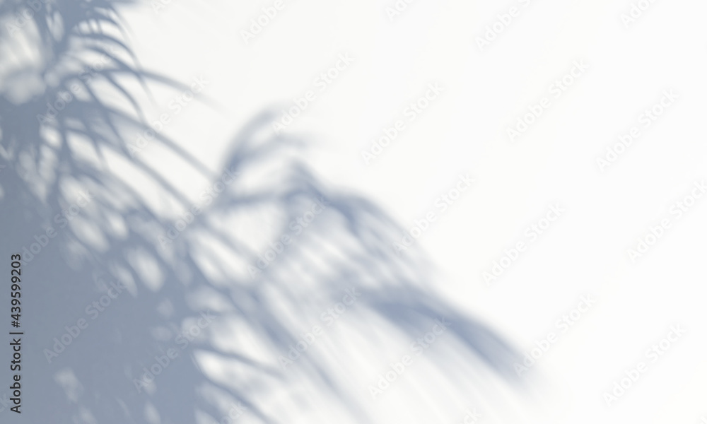 Shadow from a tree falling on a white wall. 3d rendering Stock ...