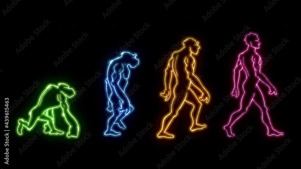 Human Evolution. From a Monkey, Neanderthal, Primate to a Homo Sapiens ...