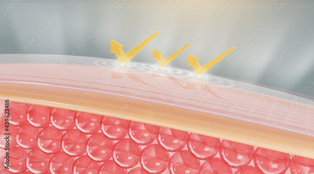 UV protection for skin. Shield reflects the ultraviolet. 3d skin cell ...