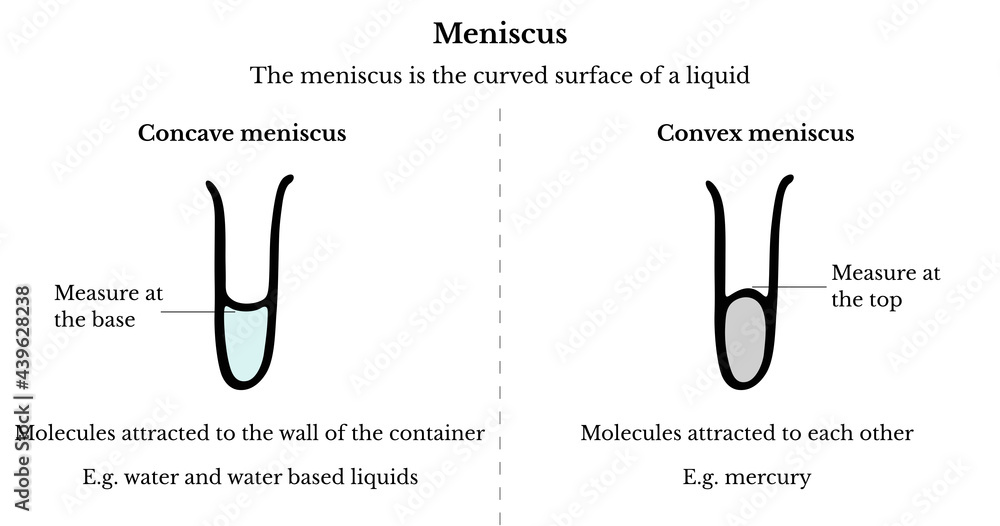 Plakát Concave meniscus and convex meniscus differences chart, vector ...