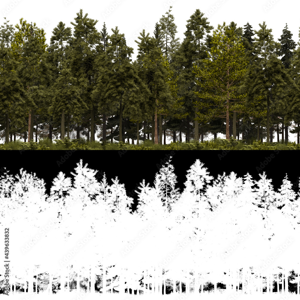 3D Render of Horizon Pine Trees Line in 4K available for loop. Tileable ...