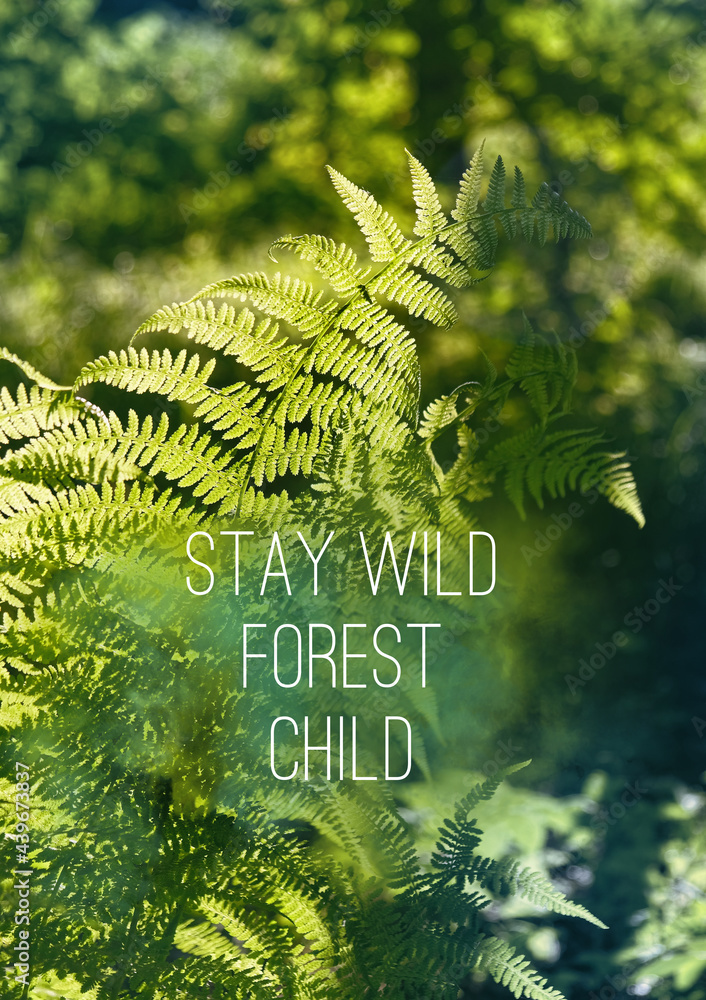 green fern leaves on natural forest background. Stay wild, forest child ...