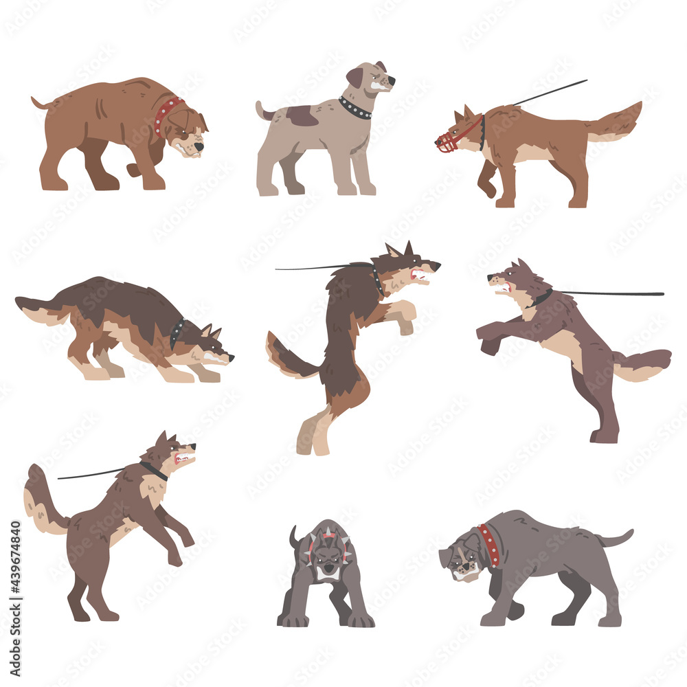 Set of Angry Aggressive Large Dogs Baring its Teeth Vector Illustration ...
