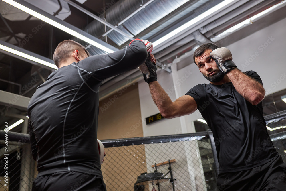 Professional MMA Fighter Showing Best Tricks To New Fighter, Teaching ...