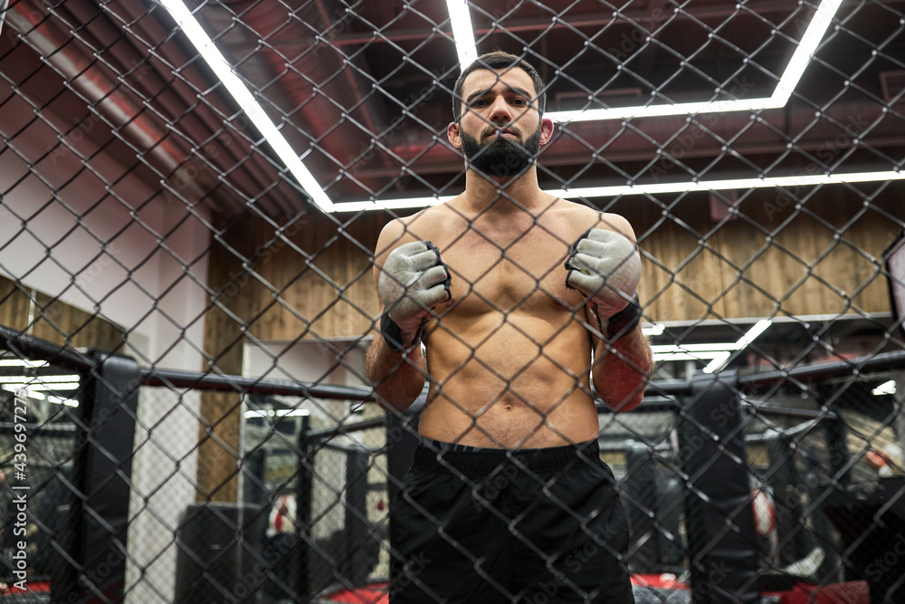 Portrait of MMA fighter thinking about strategy for match, standing on ...