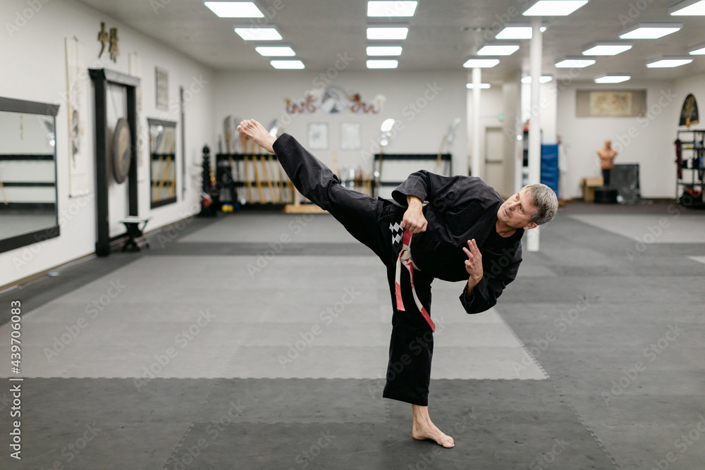 Practicing Martial Arts Kick Stock Photo | Adobe Stock