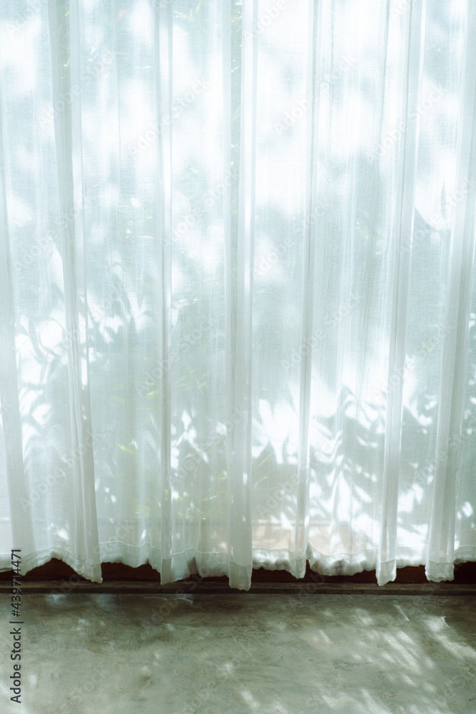 Beautiful shadows and light on the white curtain Stock Photo | Adobe Stock