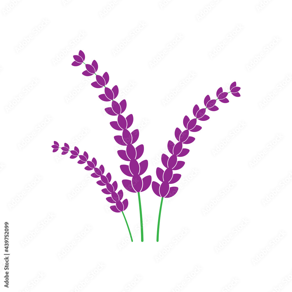 lavender flower icon design isolated on ehite background Stock Vector ...