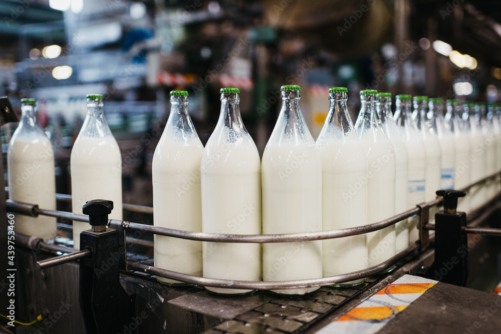 Milk bottles in a milk factory Stock Photo | Adobe Stock