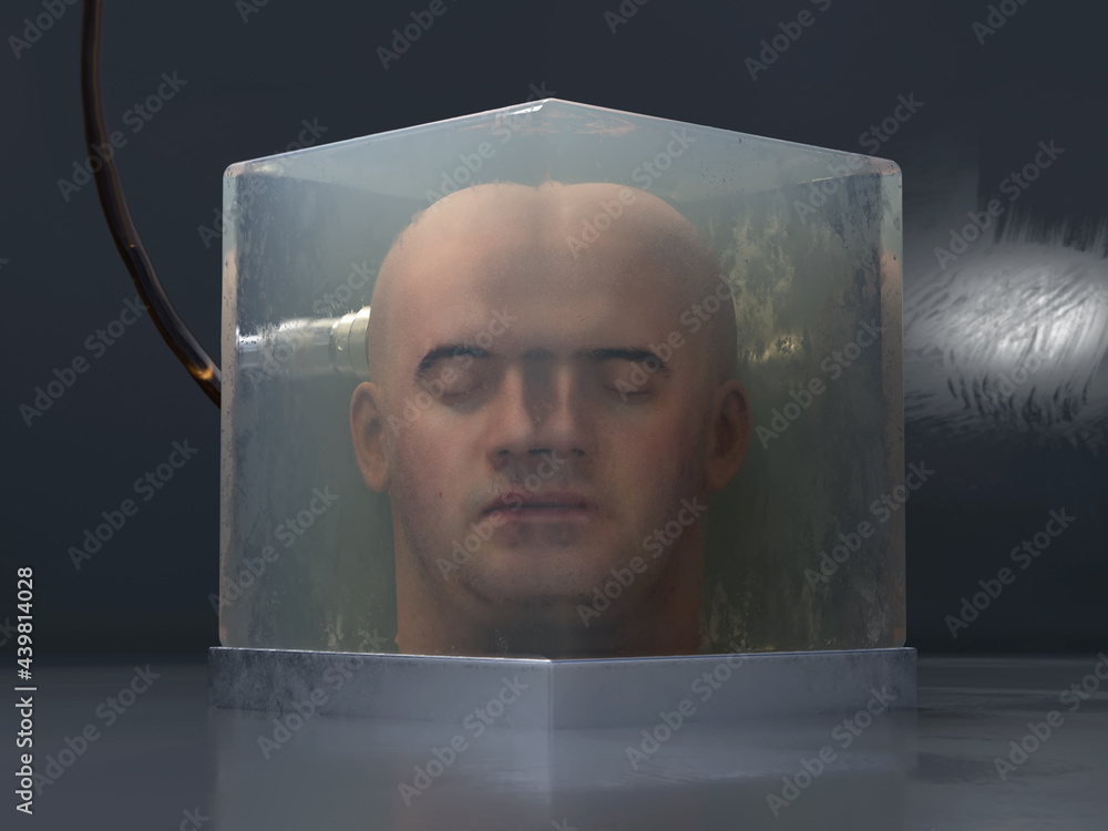 human head inside a cube Stock Illustration | Adobe Stock