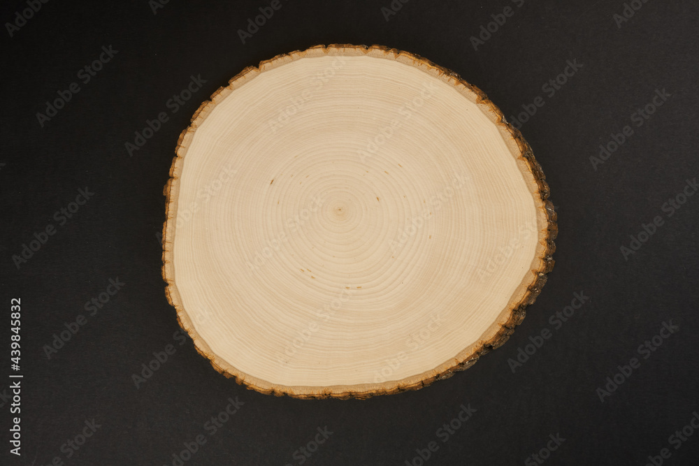 Round slab of wood with bark on back background. Stock Photo | Adobe Stock