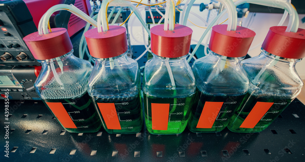 Experimental setup for enzymatic synthesis by genetically modified ...