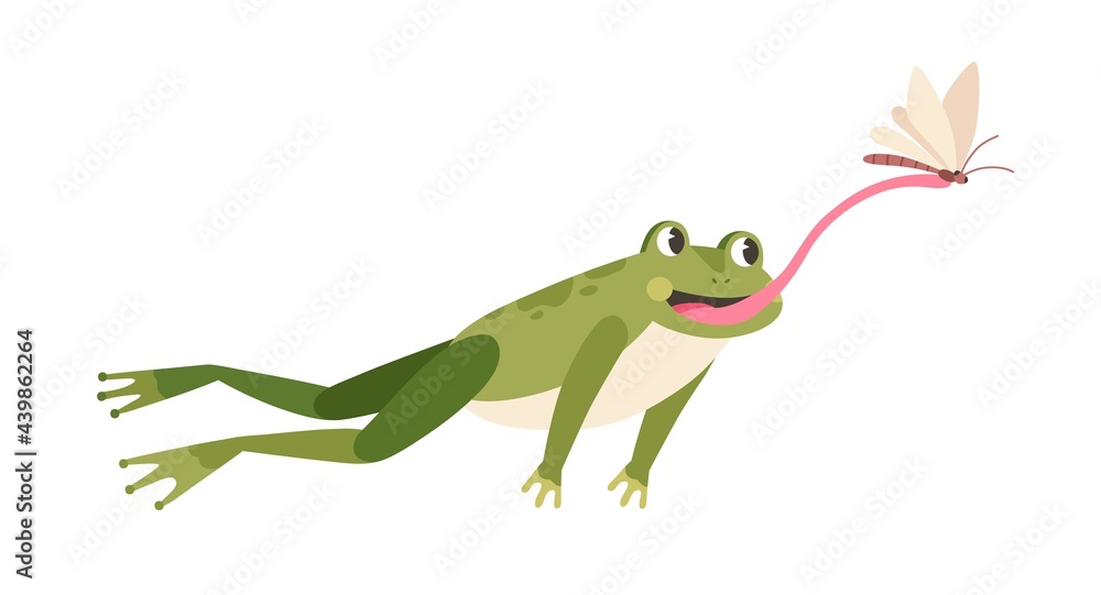 Toad Jumping Drawing