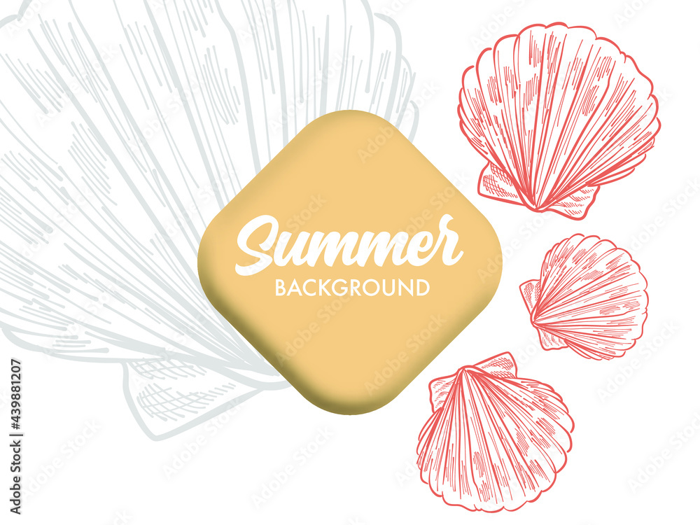 Various shells on a white backdrop. Natural marine theme background ...