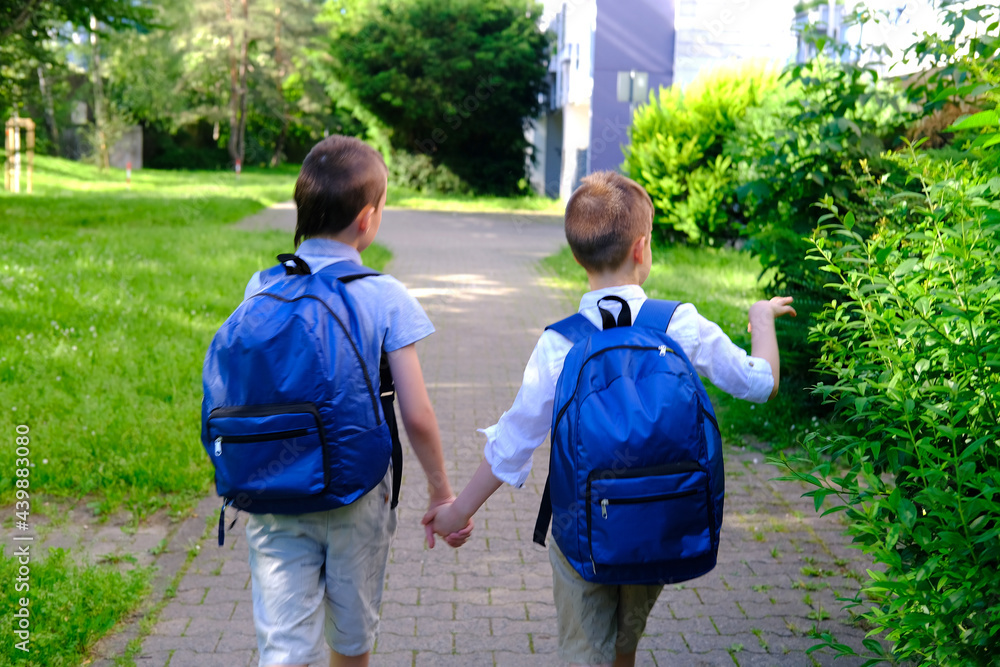 two boys, ,primary school students, children with blue school bags ...