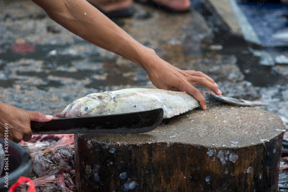 Various types of seafood are sold in the traditional fish market Stock ...