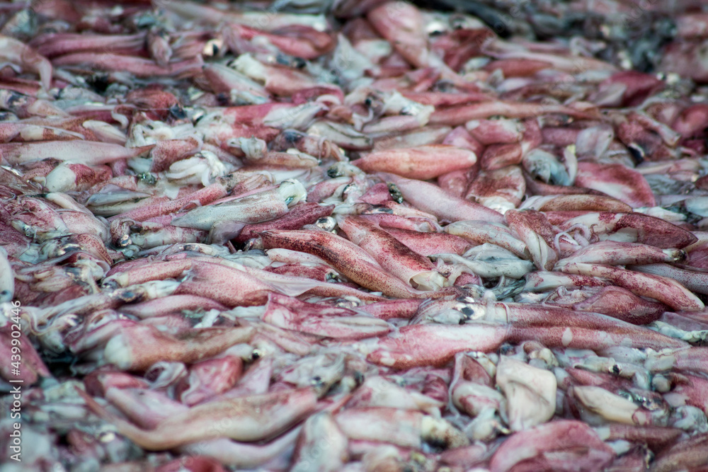 Various types of seafood are sold in the traditional fish market Stock ...