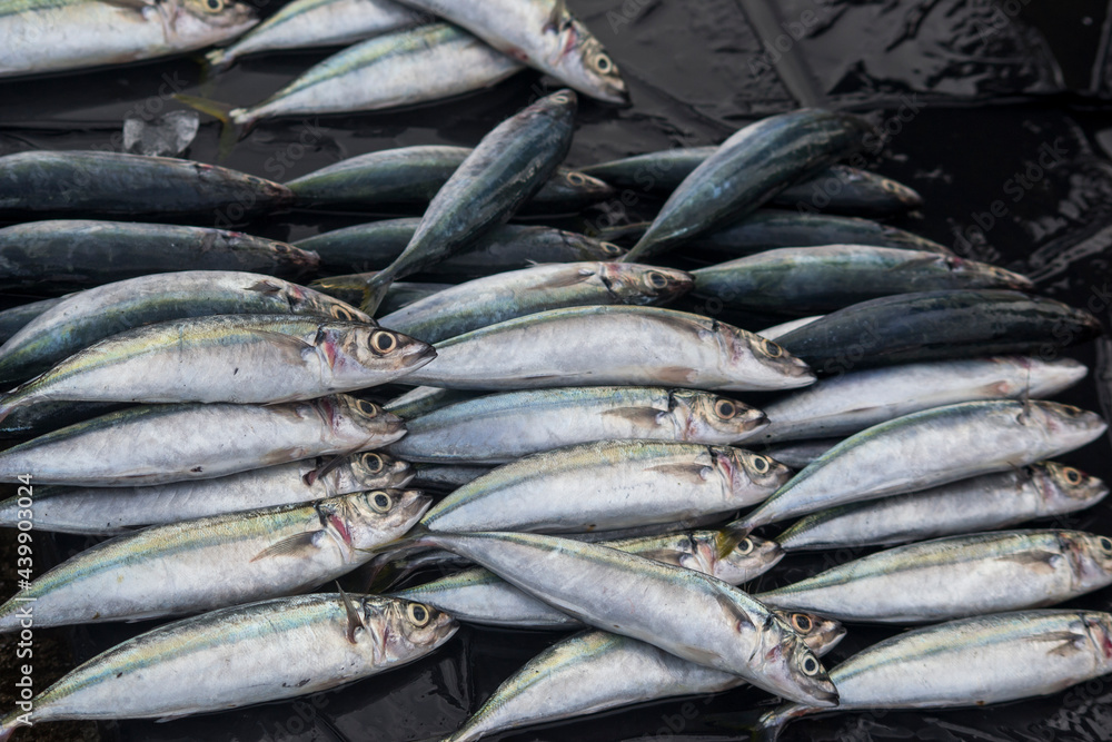Various types of seafood are sold in the traditional fish market Stock ...