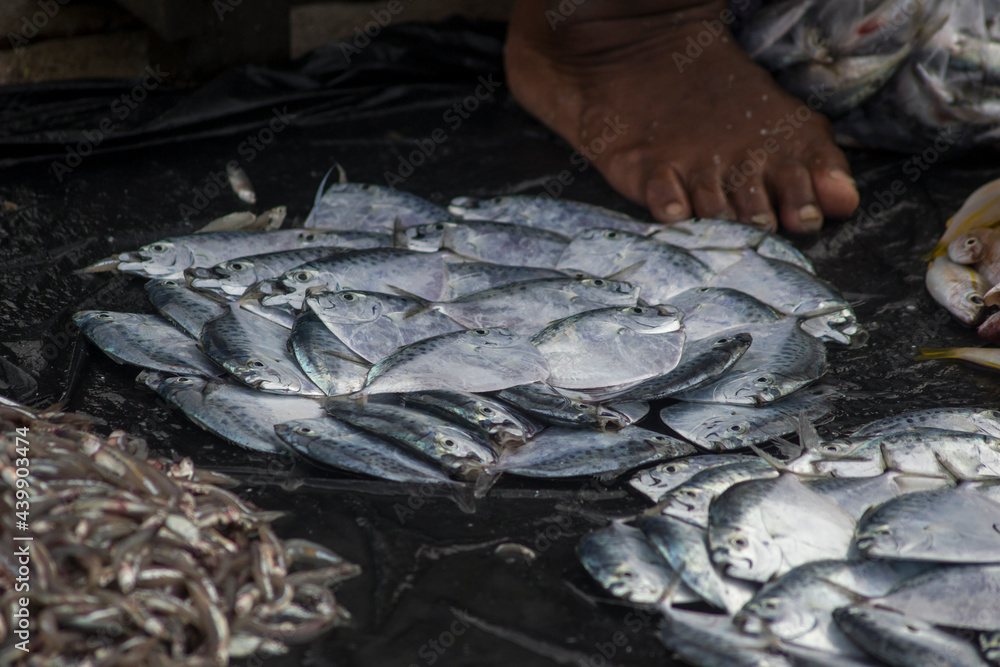 Various types of seafood are sold in the traditional fish market Stock ...