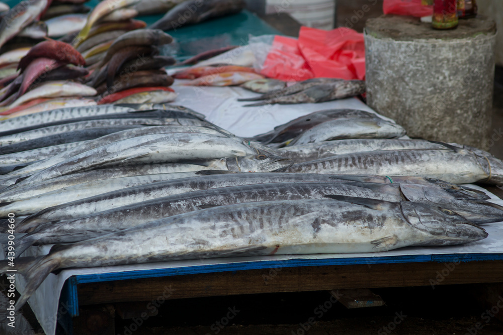 Various types of seafood are sold in the traditional fish market Stock ...