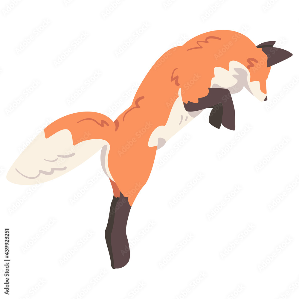 Red Jumping Fox, Wild Predator Forest Mammal Animal Cartoon Vector ...