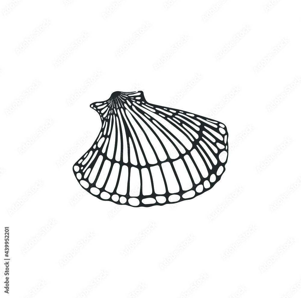 Vetor de Sea shell vector black outline seashell marine mollusk ...