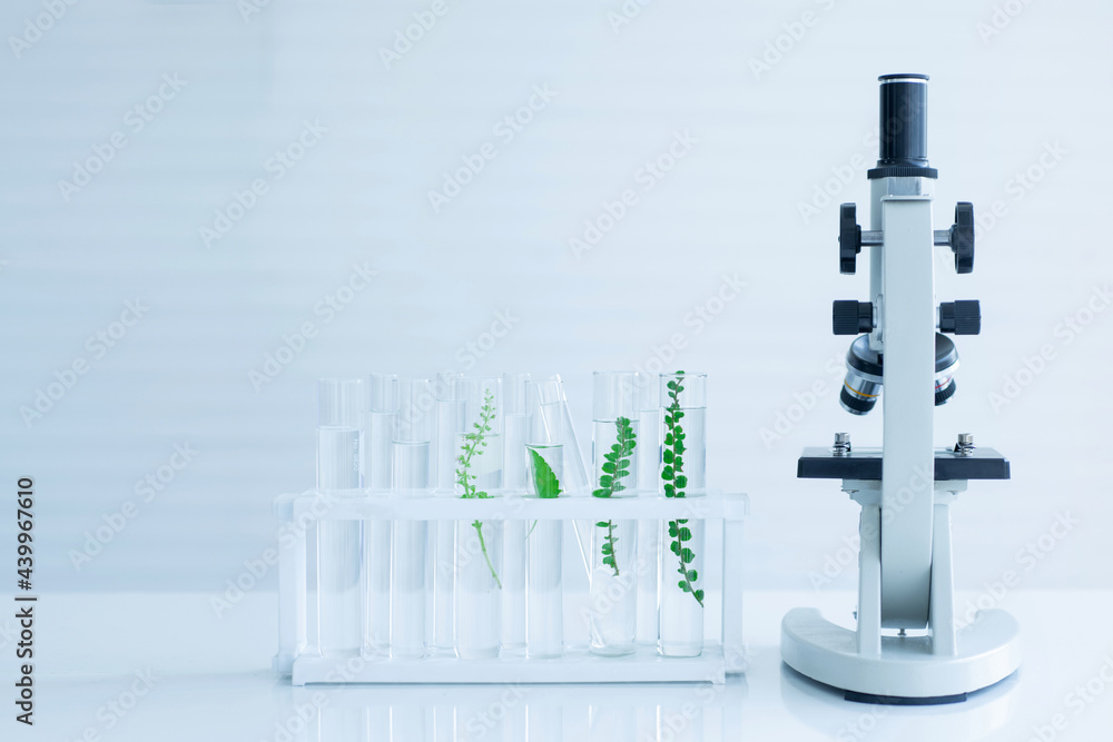 Microscope and Test tube on white table, green leaf in test tube ...