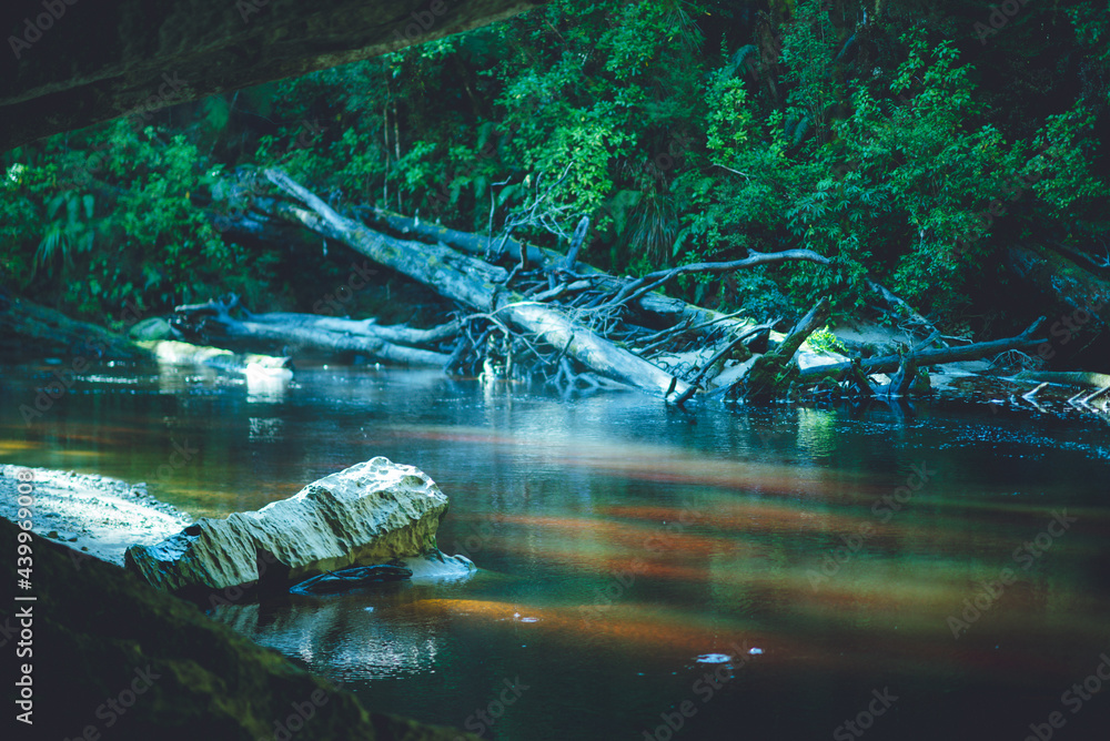 Foto de Oparara Basin - Moria Gate Arch, Kahurangi National Park, West ...
