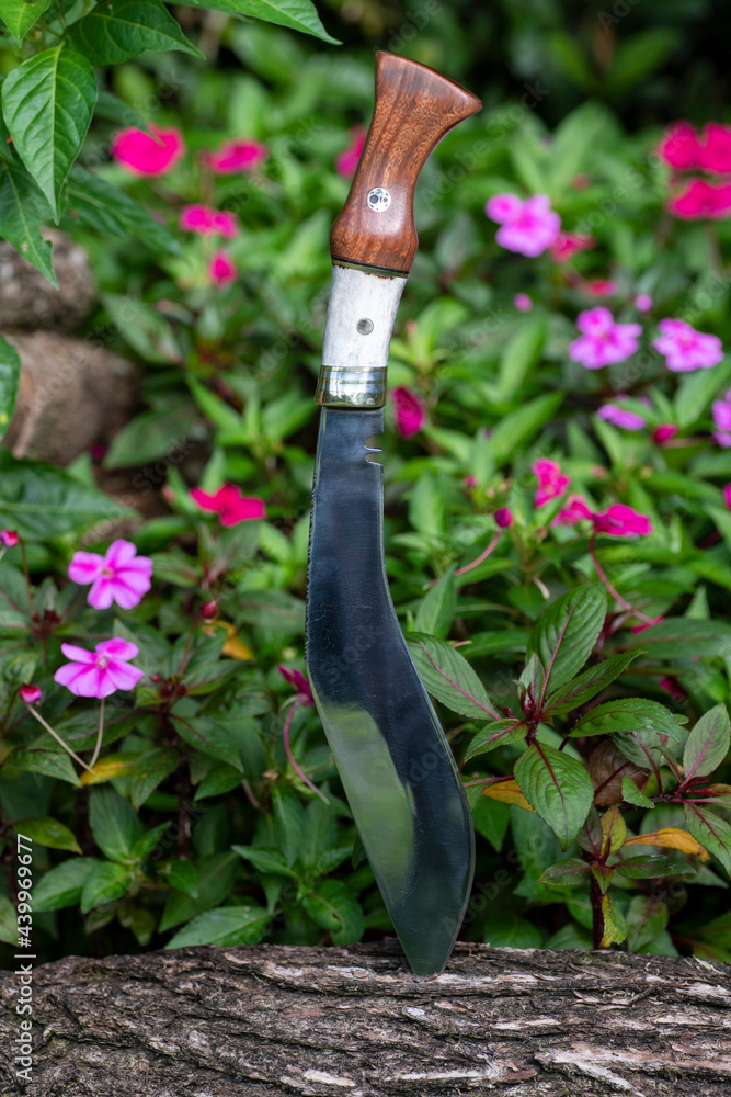 Close up view of a Kukri or Gurkha Knife with a lush green background ...