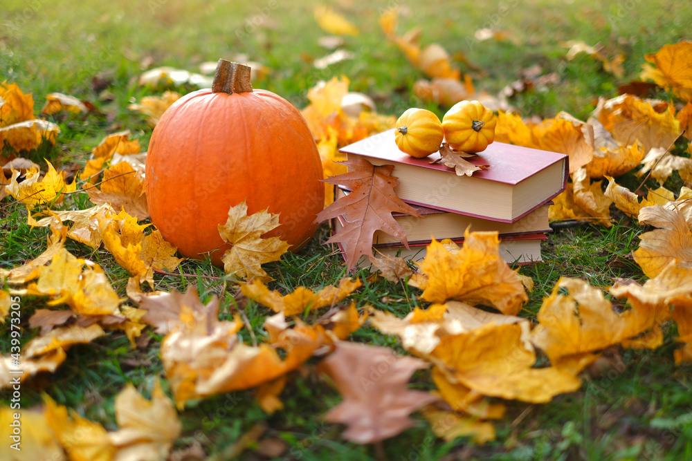 Autumn books. Reading books. Back to school.Knowledge day. Writing ...