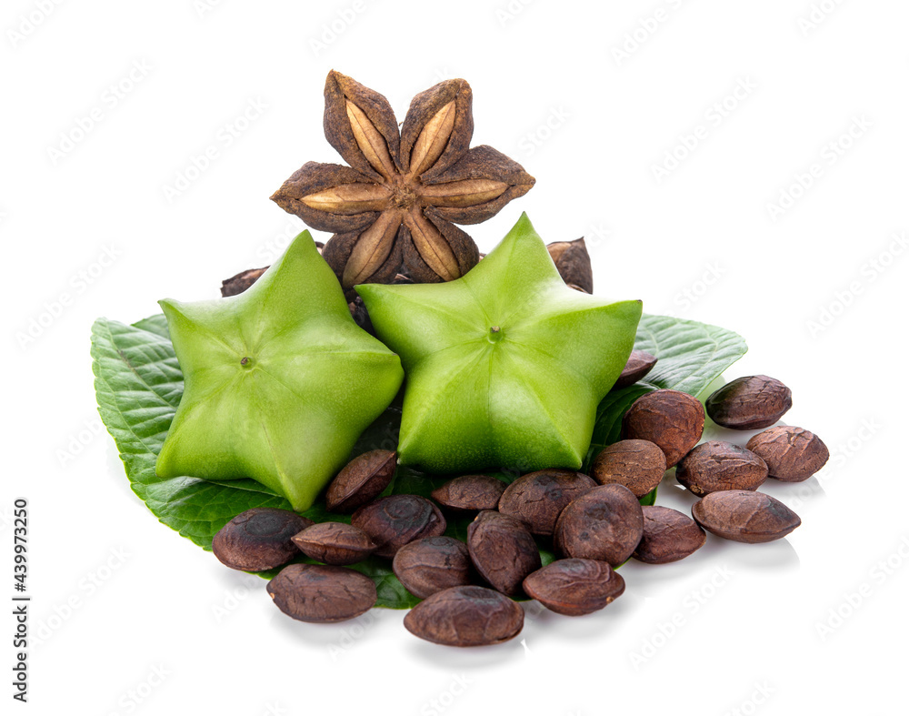 Sacha-Inchi peanut, fresh capsule seeds fruit of sacha-Inchi peanut ...