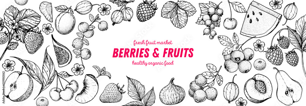 Berries and fruits drawing collection. Hand drawn berry sketch. Vector ...