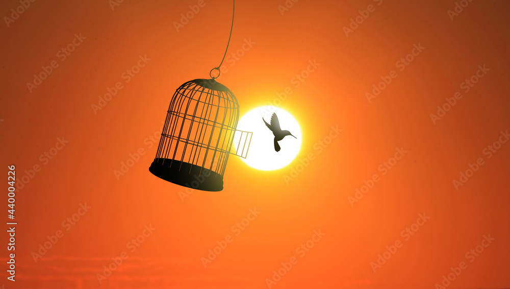 Bird Flying Away From Cage