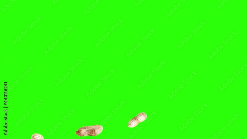Peanuts animation group on green screen chroma key, graphic source ...