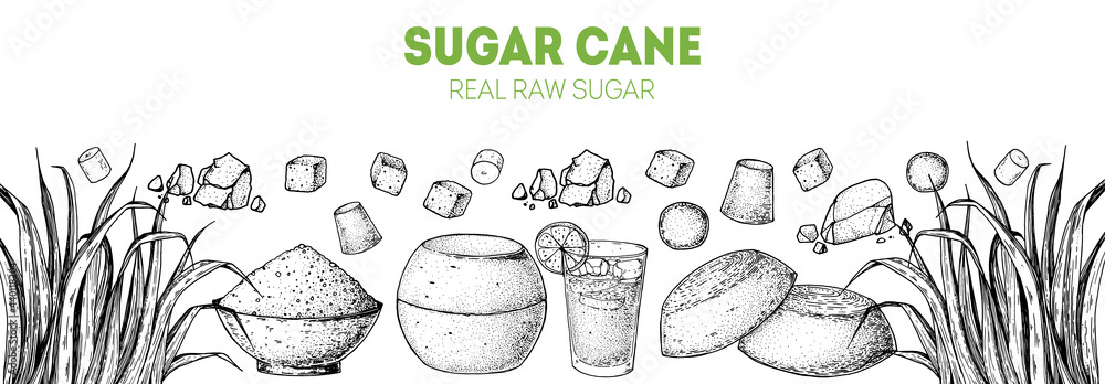 Brown Sugar Organic Unrefined. Sugar cane sketch. Hand drawn vector ...