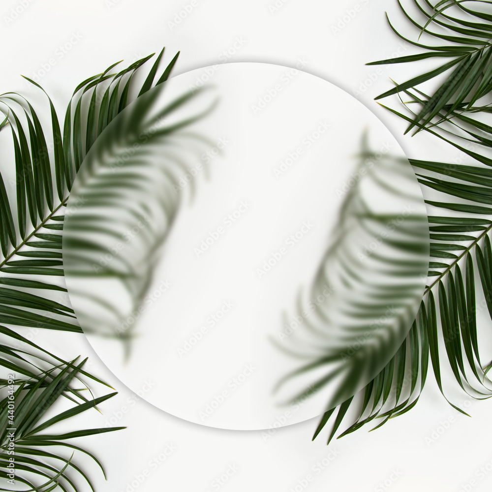 Tropical summer circle frame made with glass morphism effect and ...
