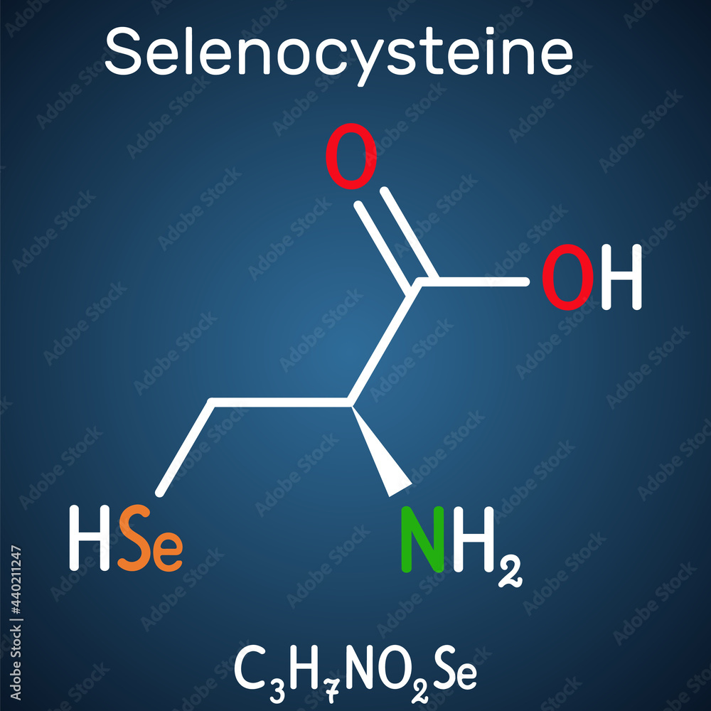 Selenocysteine, L-selenocysteine, Sec, U molecule. It is proteinogenic ...