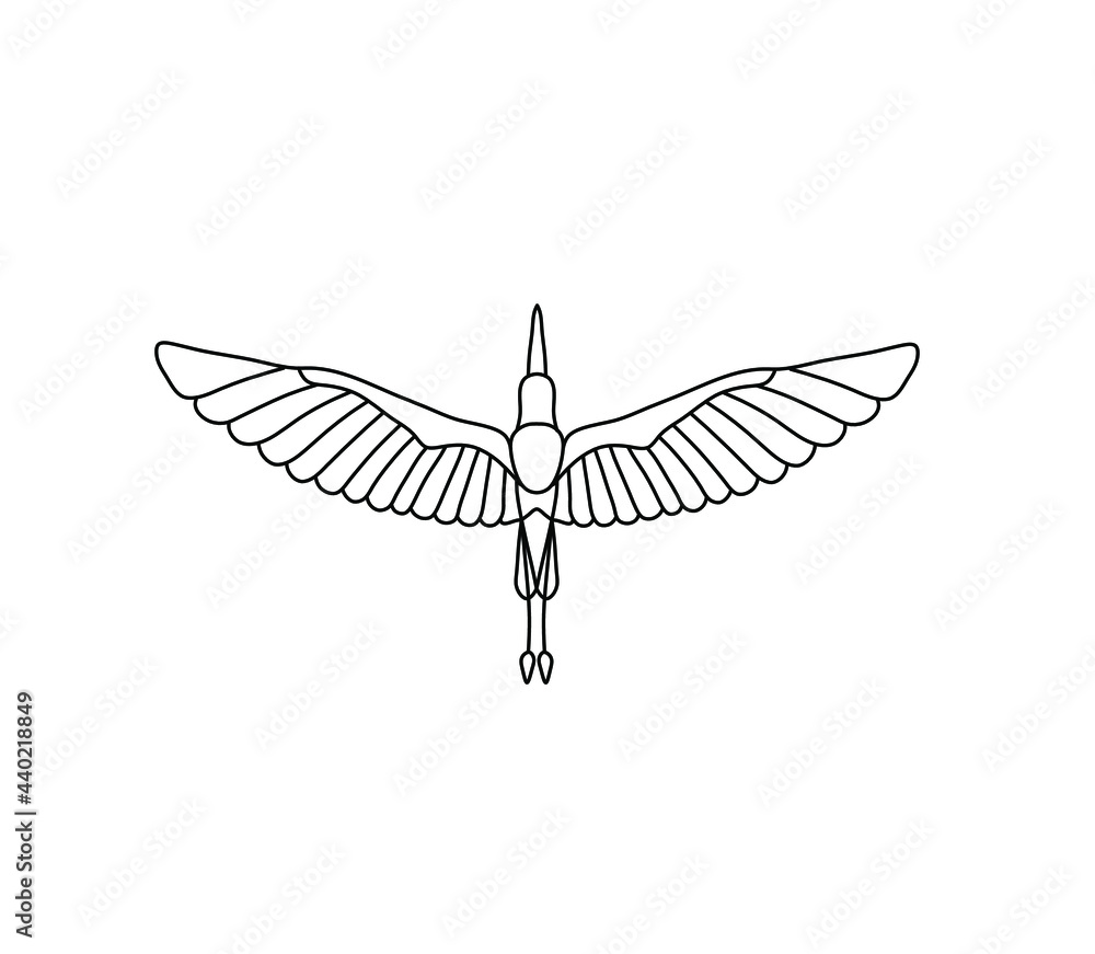 Vector isolated flying crane top view line drawing. Colorless black ...