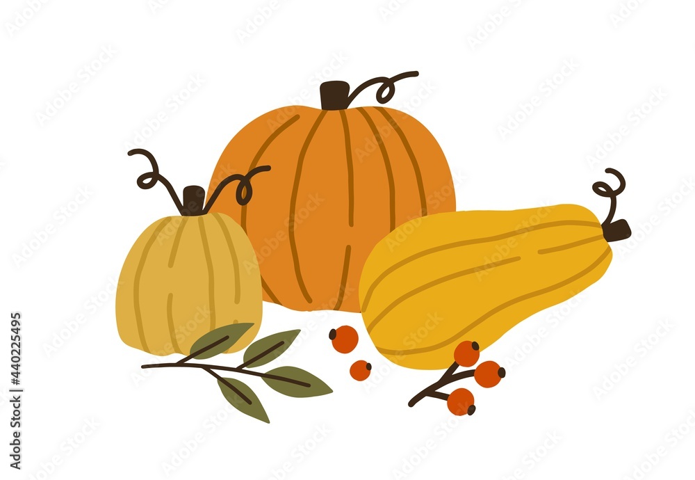 Autumn pumpkin, butternut squash and gourd of different shapes and ...