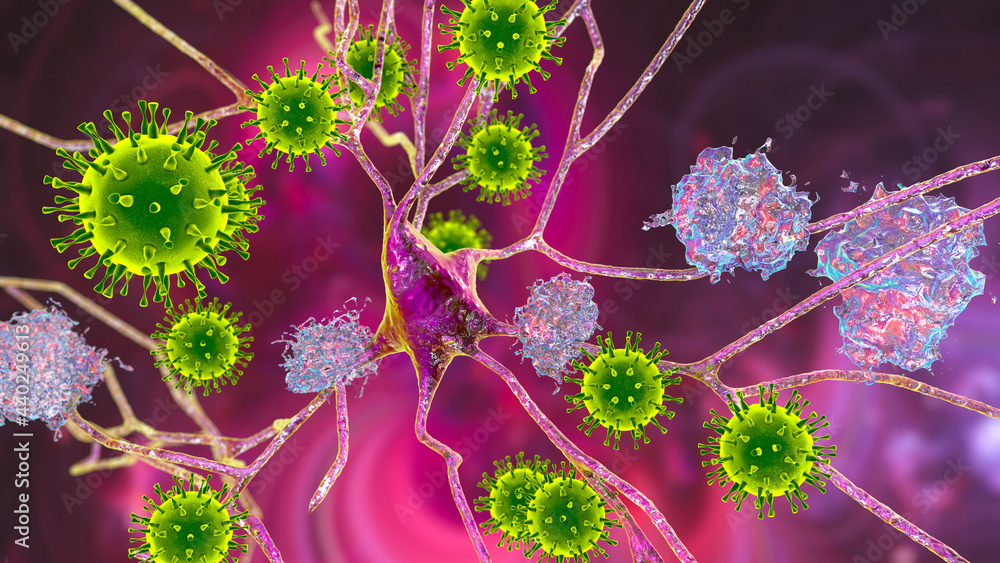 Infectious etiology of dementia. Viruses that affect neurons Stock ... Infectious etiology of dementia. Viruses that affect neurons Stock ...