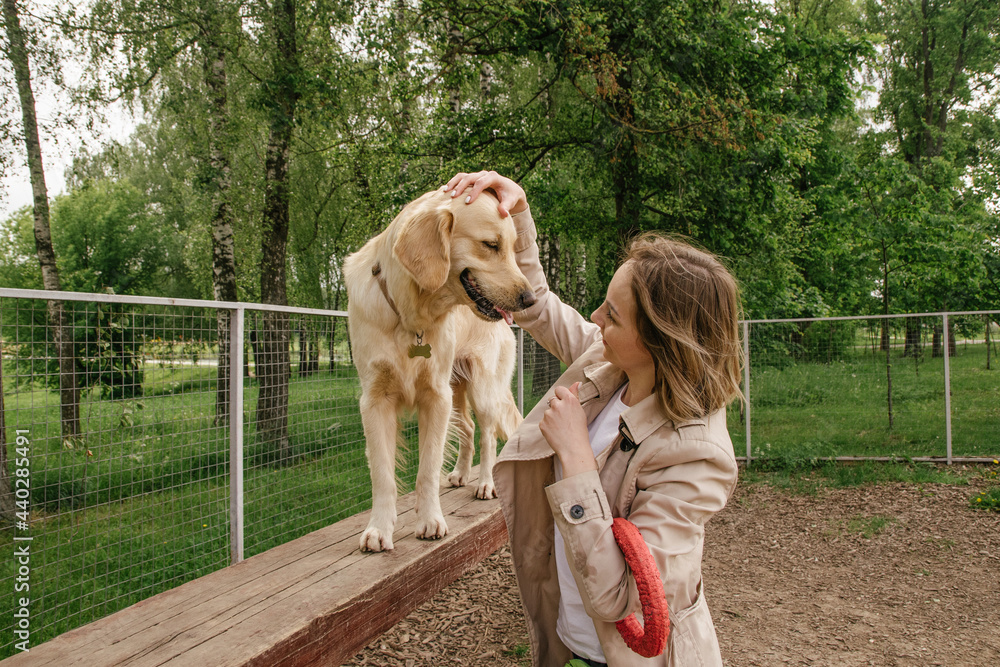 The mistress girl gives a toy to her dog of the golden retriever breed ...