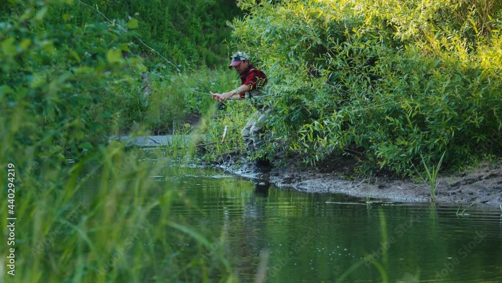 Fly fishing. Angler fishing on the bushy coast and catches the fish in ...