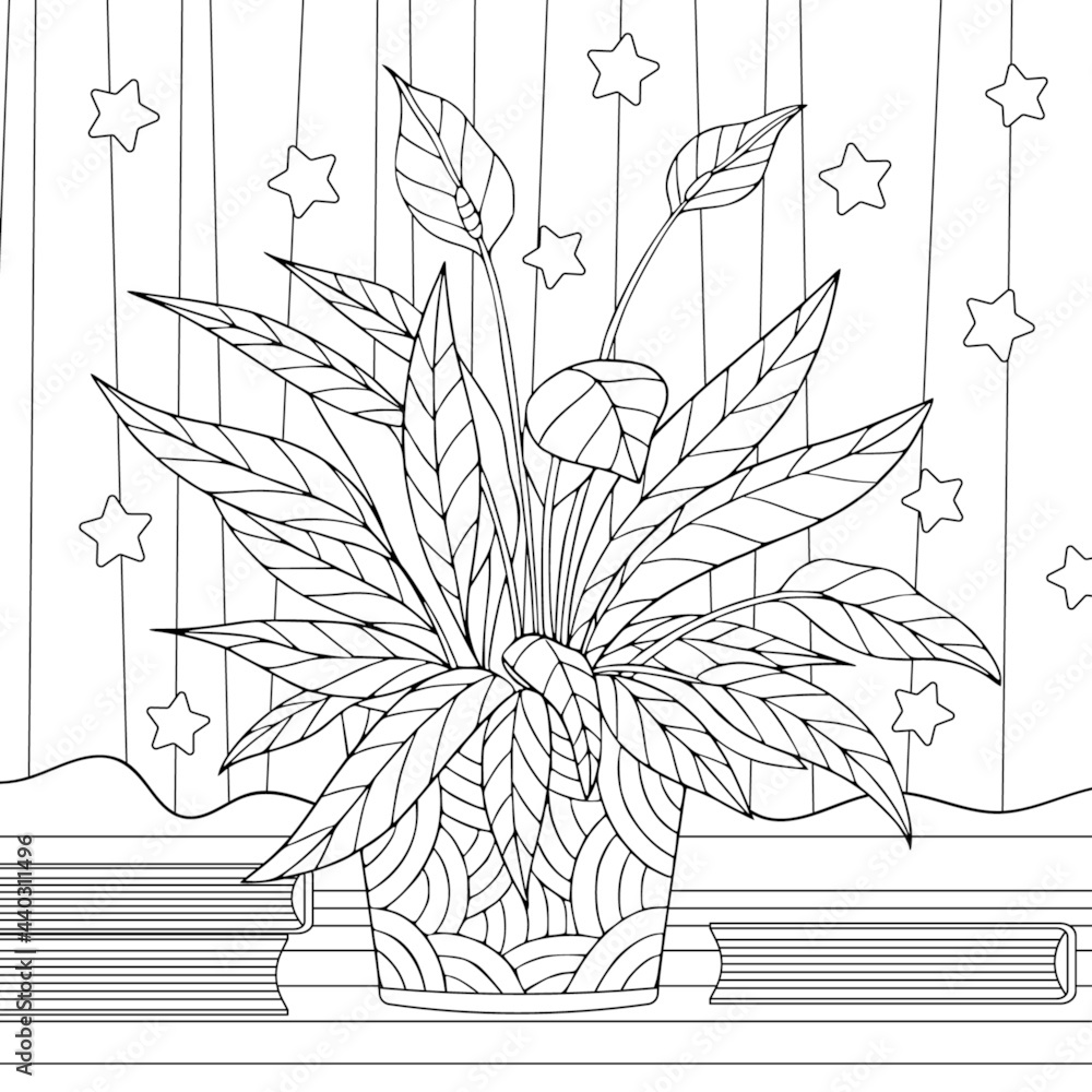 Spathiphyllum in bloom at home interior with books. Coloring book page ...