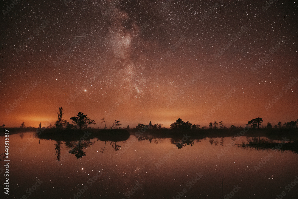 Swamp Bog Marsh Wetland Lake Nature Night Landscape. Night Starry Sky ...