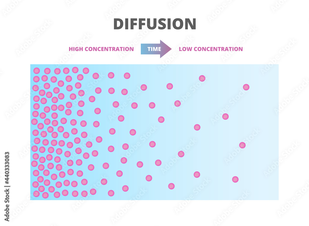 Vector scientific scheme of diffusion. Movement of molecules, ions, and ... Vector scientific scheme of diffusion. Movement of molecules, ions, and ...