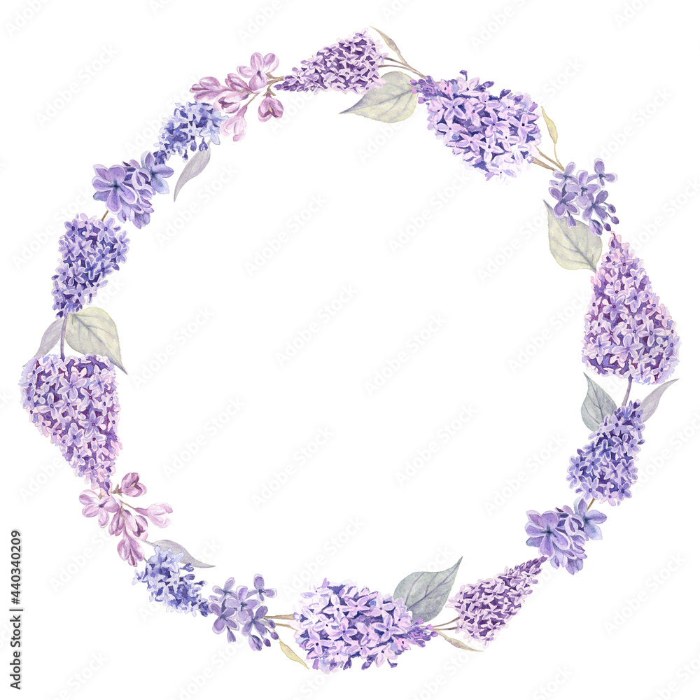 Floral wreath of beautiful lilacs painted in watercolor, on white ...