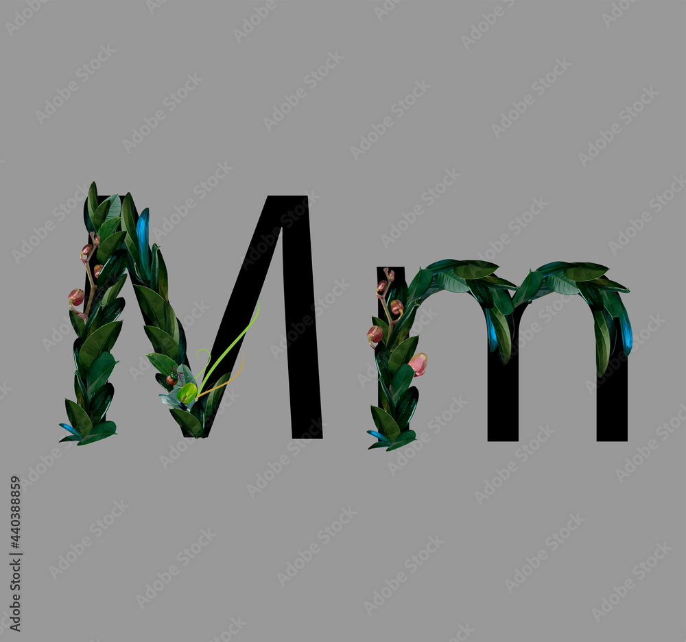 Vector floral upper and lowercase letter M with fresh green leaves and ...