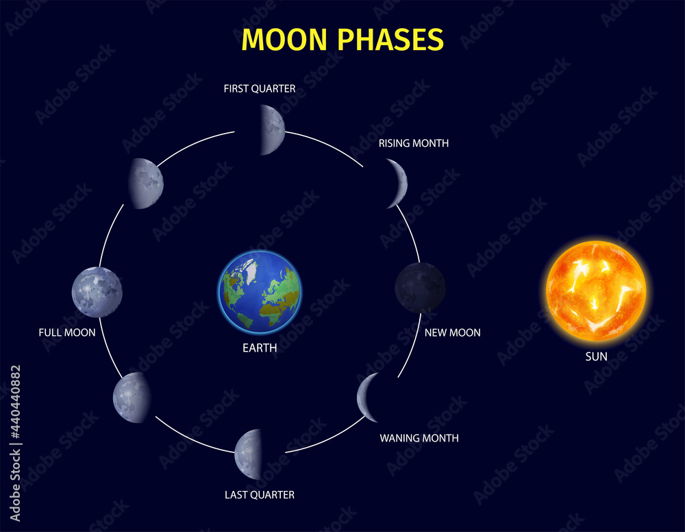 Moon Phases Infographic Set Stock Vector | Adobe Stock